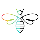 Home - Creative Bee Creative Bee A hive of ideas and creativity.