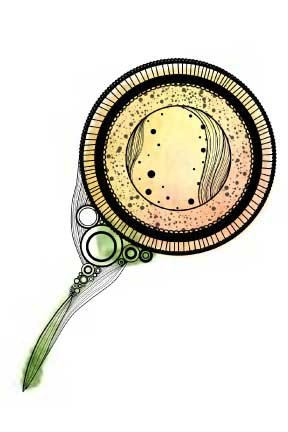 What Is Reverse Coloring: A Unique Twist on Traditional Coloring ...